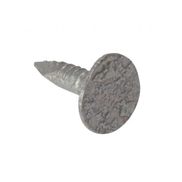 Nail Clout Extra Large Head Galvanised 3.00 x 50mm 2.5Kg